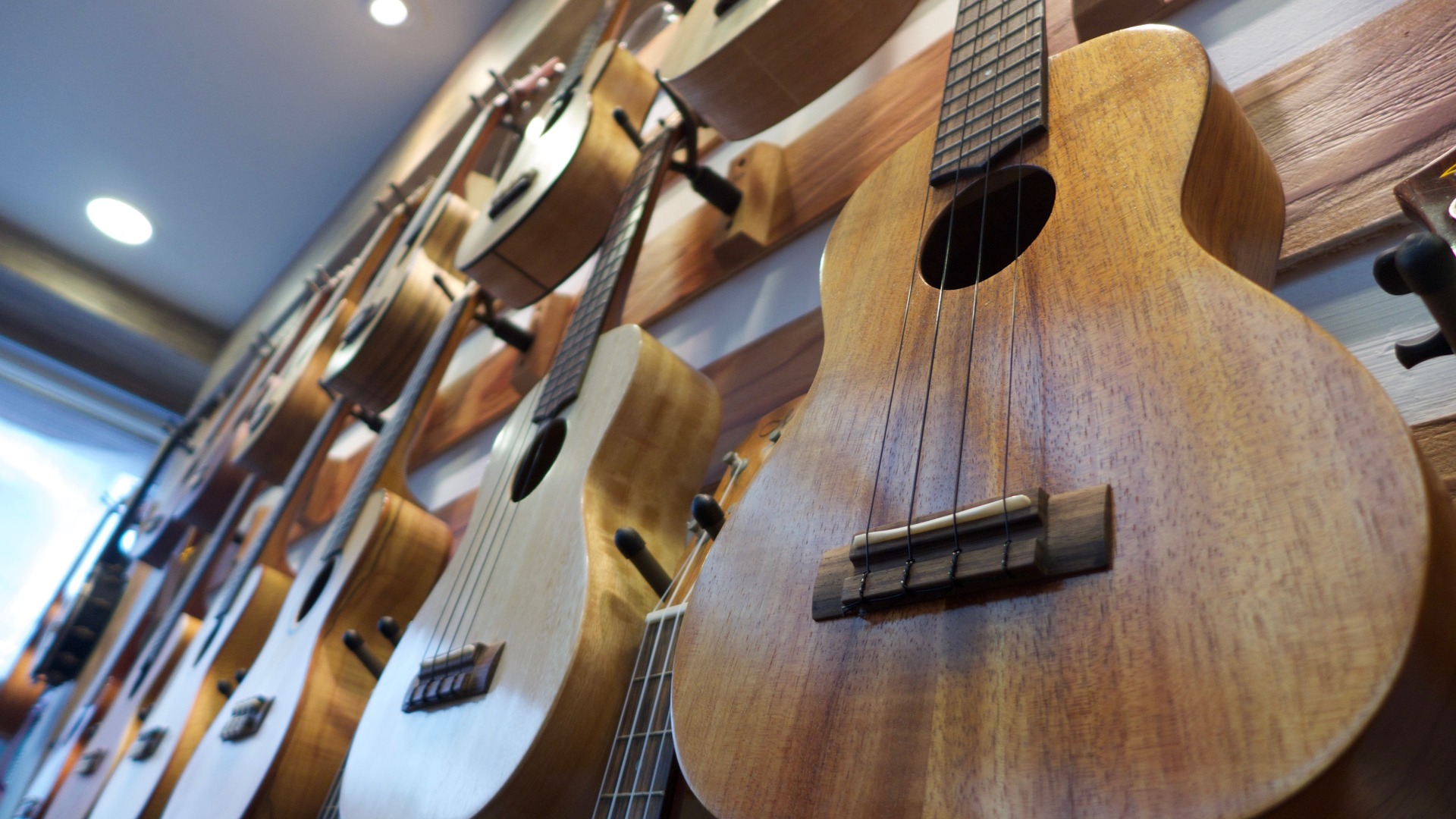Ukulele - Information and Resources - String Sound Studios
